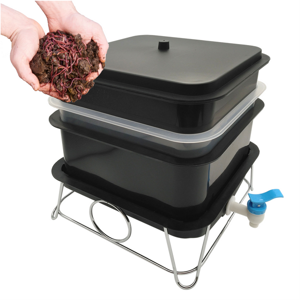 Mini Worm Farm 3 Tier With 500 Worms – Vertical Gardens Direct
