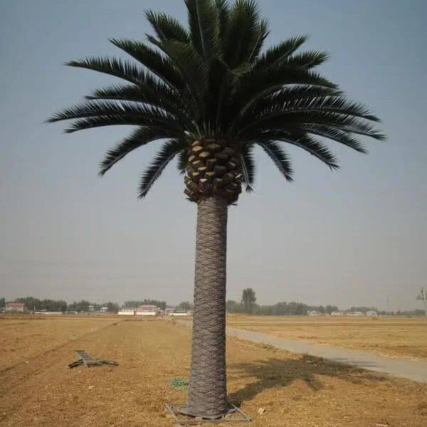 Tall Artificial Canary Palm Tree (3m To 6m) UV Resistant – Vertical ...