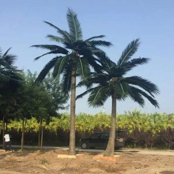 Tall Artificial Coconut Palm Tree (3m To 6m) UV Resistant – Vertical ...
