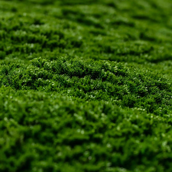 Artificial Dark Moss Panel 1m x 1m UV Stabilised – Vertical Gardens Direct