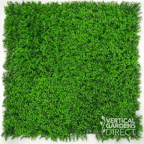Artificial Deluxe Buxus Hedge Wall Panel Sample – Vertical Gardens Direct