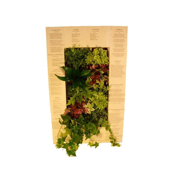 GROVERT MICRO GARDEN WALL FRAME KIT - PAINT YOUR OWN – Vertical Gardens ...
