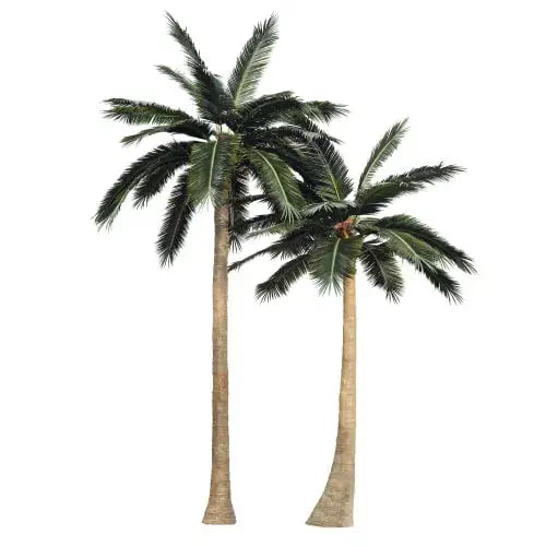 Tall Artificial Coconut Palm Tree (3m To 6m) UV Resistant – Vertical ...