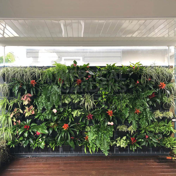 Wallgarden Multi Hang 50 Pot Vertical Garden Wall Kit – Vertical ...